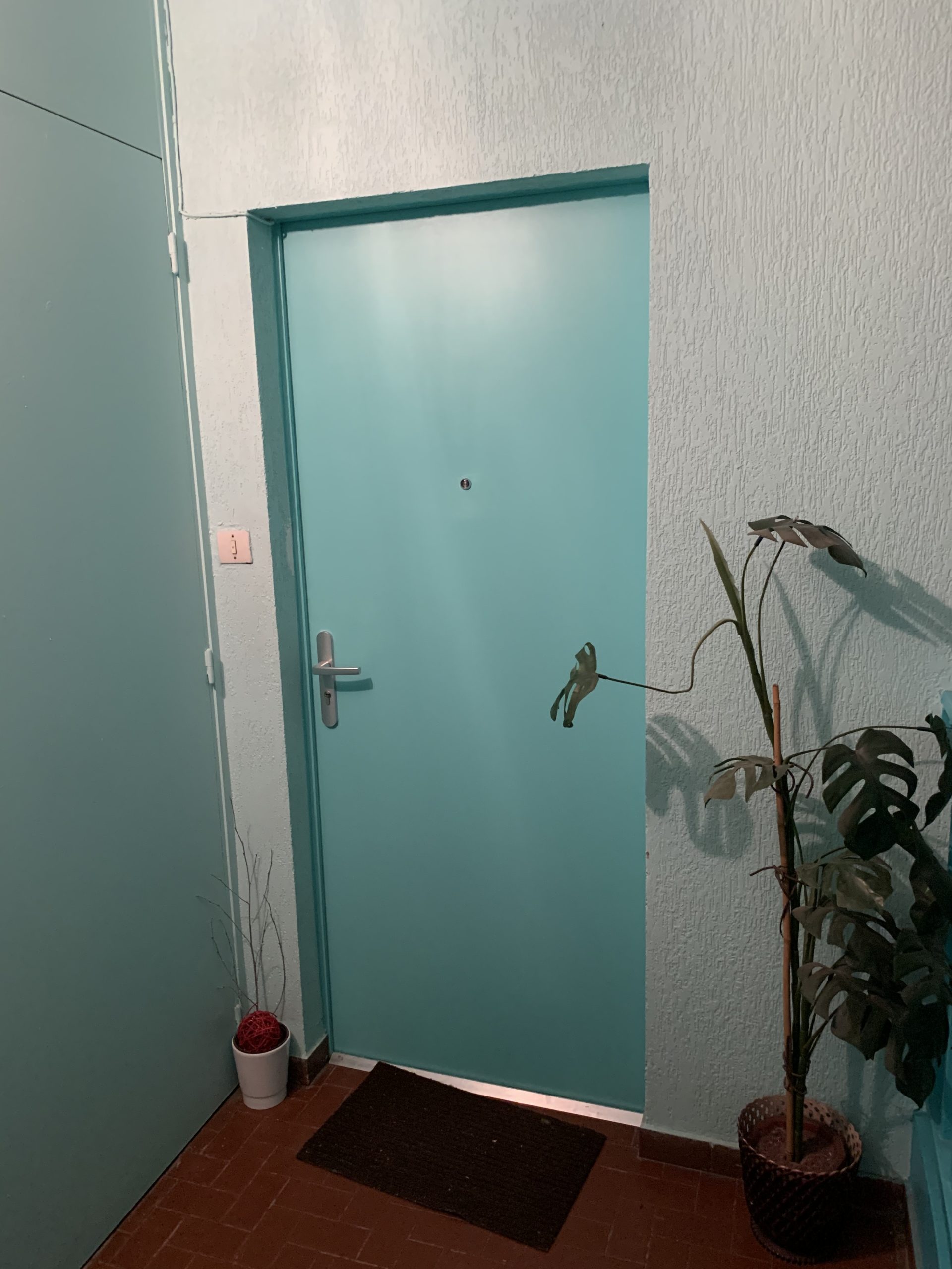 Porte palière à Goncelin - Atelier AUB'OIS - Menuisier Agenceur